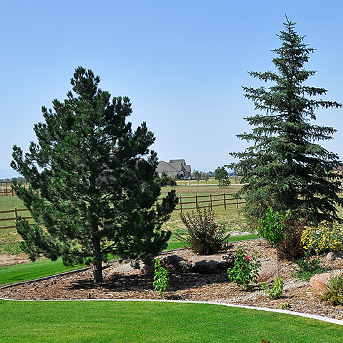Colorado Landscapes | Anne Clark Design
